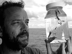Greg Stone | Speaker | TED
