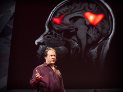 Could psychedelic drugs treat PTSD, depression? Q&A with Rick Doblin
